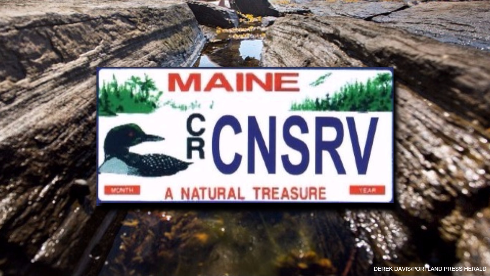 Free admission to state parks this Sunday with a Maine Loon Plate ...